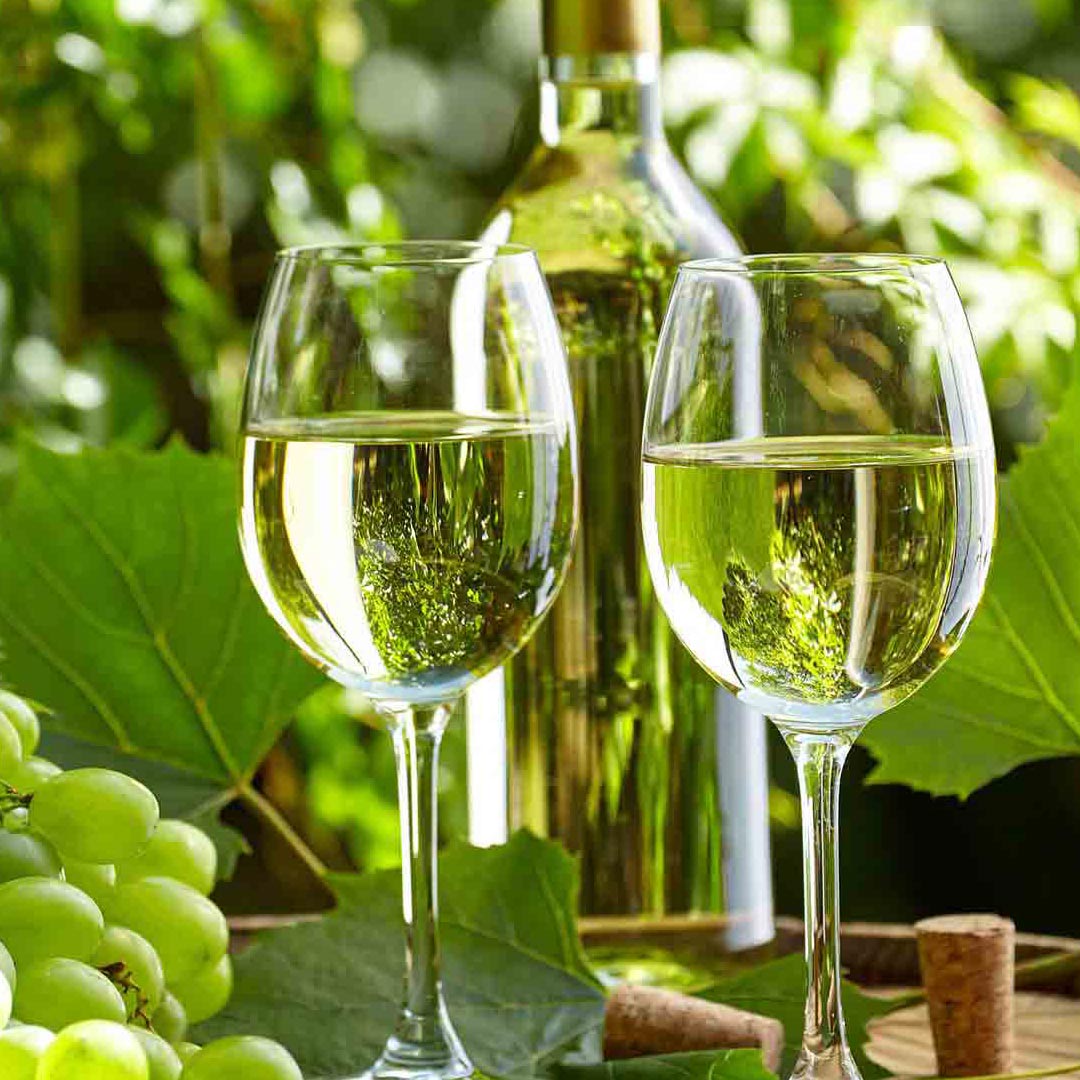 Glossaire du Vin : termes et définitions essentiels - dico du vin